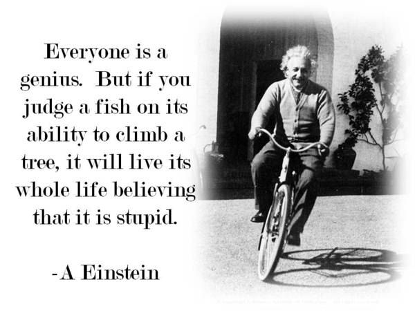 Zitate Einstein Fisch Zitate Und Spr che Leben